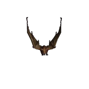 Bat - NPC - World of Warcraft