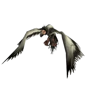 Trained Bonestripper - NPC - World of Warcraft