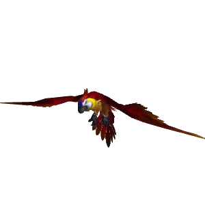 Parrot - NPC - World of Warcraft