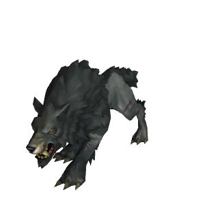 Adolescent Darkwolf - NPC - World of Warcraft