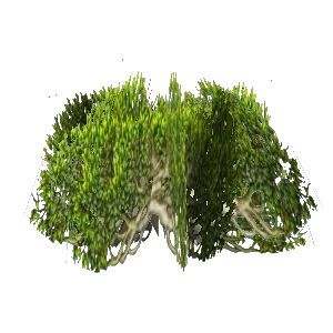 Fadeleaf - NPC - World of Warcraft