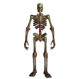 Unholy Skeleton - NPC - World of Warcraft