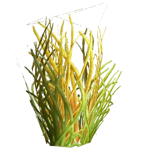 Sungrass - NPC - World of Warcraft