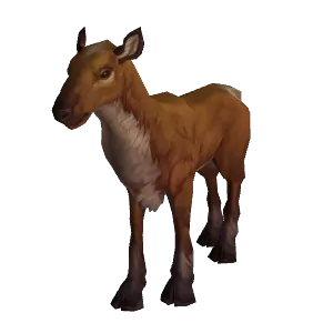 Doe - NPC - World of Warcraft