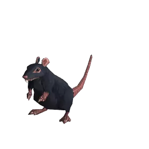 Basin Rat - NPC - World of Warcraft