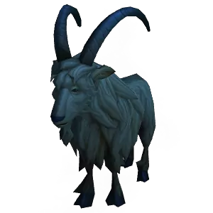 Undead - Pet Species - World of Warcraft