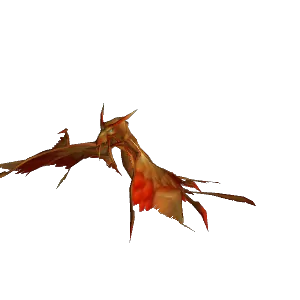 Pet Species - World of Warcraft