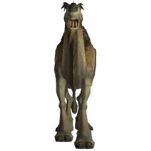 Camel - Hunter Pet - World of Warcraft