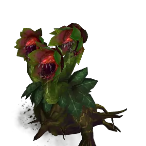 Doom - NPC - World of Warcraft