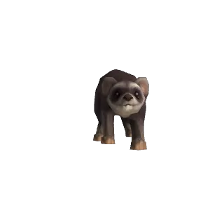 Ferret - NPC - World of Warcraft