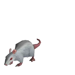 Critter - Pet Species - World of Warcraft