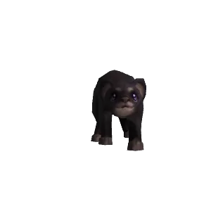 Ferret - NPC - World of Warcraft