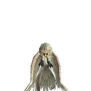 Talasite Owl - NPC - World of Warcraft