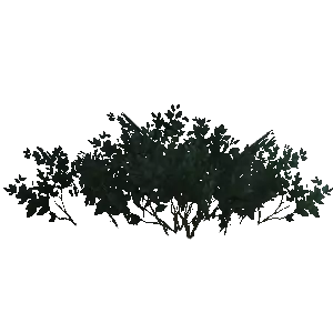 Catnip - NPC - World of Warcraft