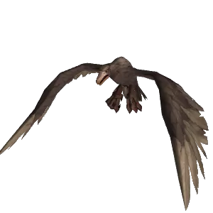 Flying - Pet Species - World of Warcraft