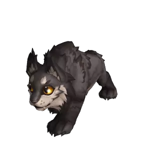 Beast - Pet Species - World of Warcraft