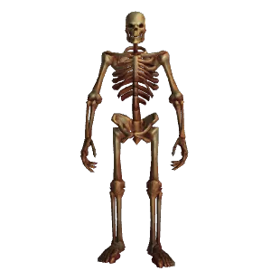 Risen Skeleton - NPC - World of Warcraft