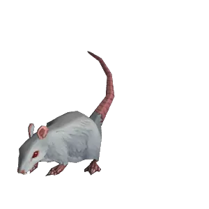 Critter - Pet Species - World of Warcraft