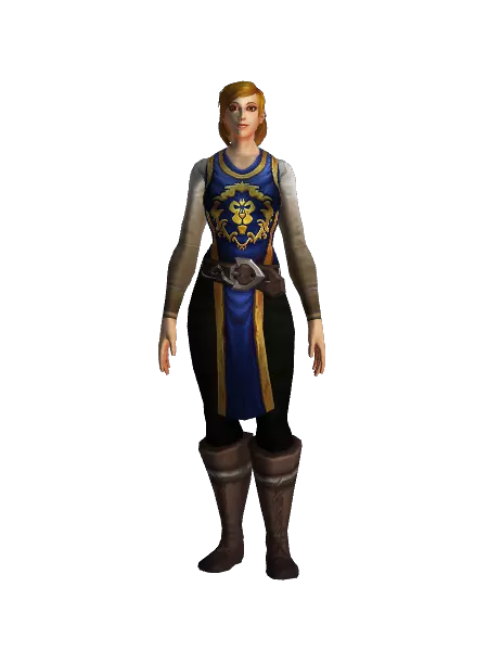 Warrior Outfits - World of Warcraft