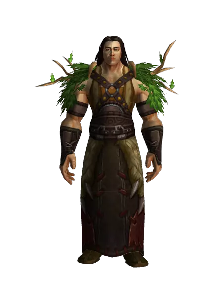 Druid Outfits - World of Warcraft