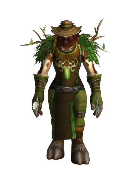 Druid Outfits - World of Warcraft