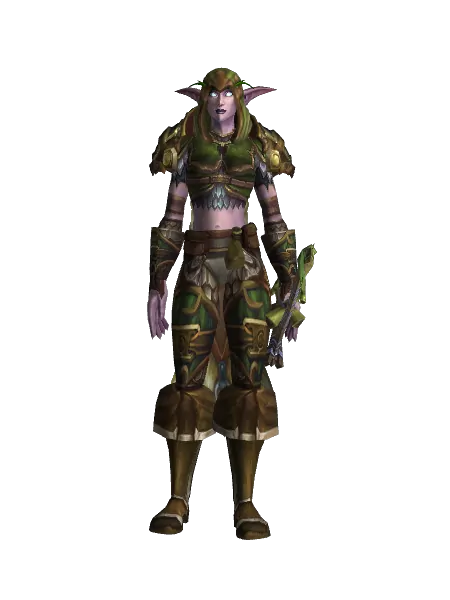 Hunter Outfits - World of Warcraft