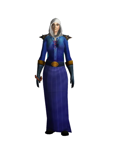 Outfits - World of Warcraft