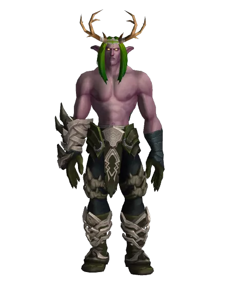 Druid Outfits - World of Warcraft