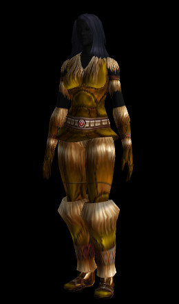 Tanned Leather Vestments - Transmog Set - World of Warcraft
