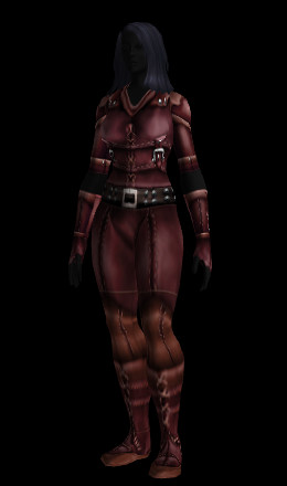 Cured Leather Vestments - Transmog Set - World of Warcraft