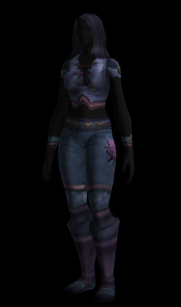 Stitched Leather Vestments - Transmog Set - World of Warcraft