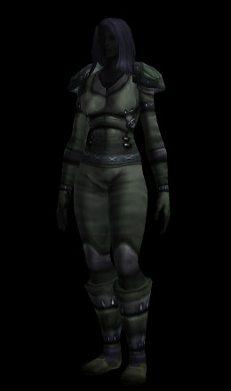 Moldy Leather Vestments - Transmog Set - World of Warcraft