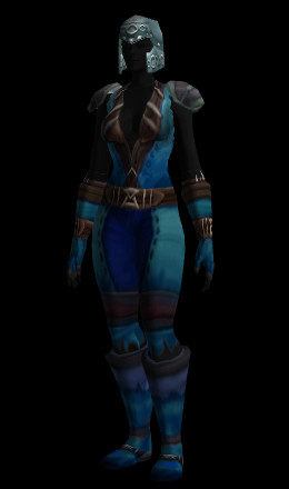 Thick Leather Vestments - Transmog Set - World of Warcraft