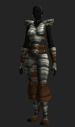 Banded Mail (Recolor) - Transmog Set - World of Warcraft