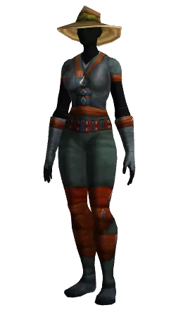 Transmog Sets - World of Warcraft