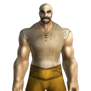 MoP Rare Shirt Item Appearances - Mists of Pandaria Classic