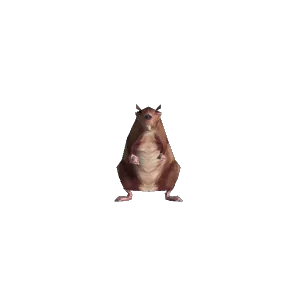 Polymorphed Rat - NPC - Mists of Pandaria Classic