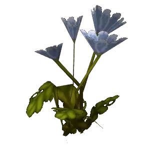 Panda Paw - NPC - Mists of Pandaria Classic