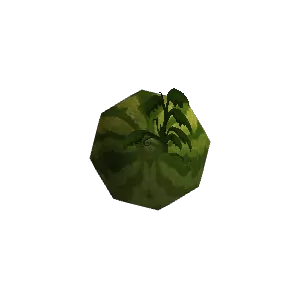 Kung Fu Watermelon - NPC - Mists of Pandaria Classic