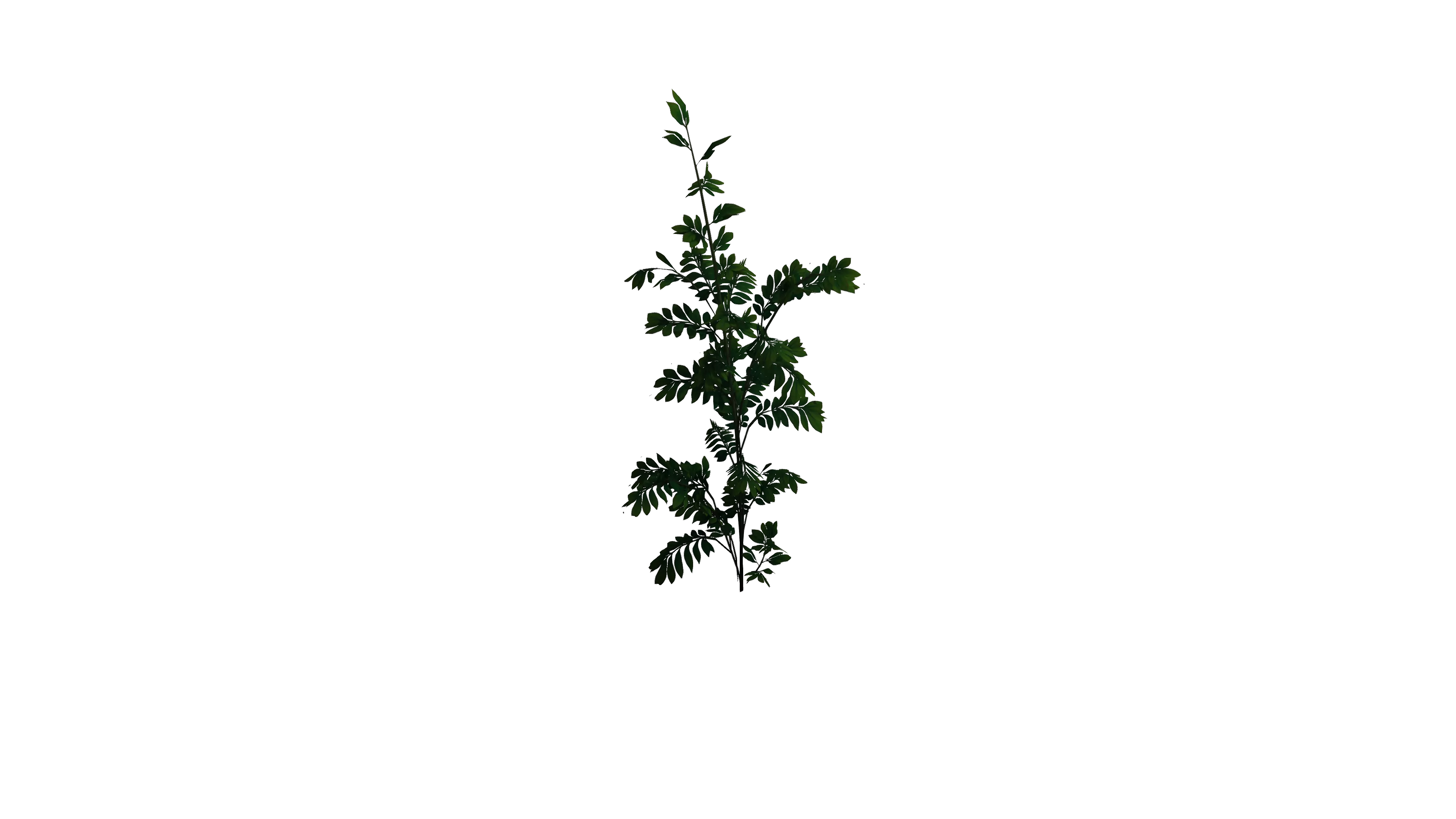 [DNT] [AUTOGEN] 12DUR_ Durotar_ Oasis_ Plant_ Bush_ D01.m2 - Decor - 12 ...