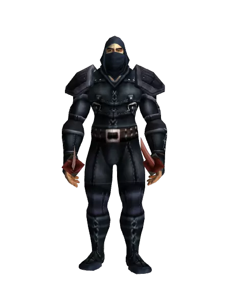 Rogue Outfits - World of Warcraft