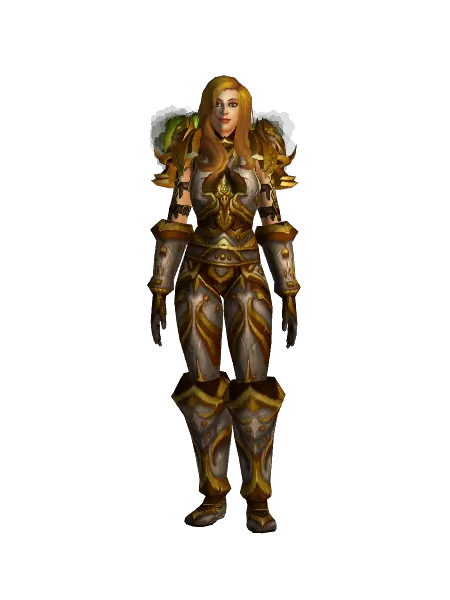 Paladin Outfits - World of Warcraft