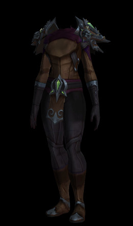 Darkshore Warfront Horde Leather (Elaborate) - Transmog Set - 12.0.5 PTR