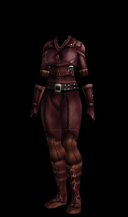 Cured Leather Vestments - Transmog Set - 12.0.0 PTR