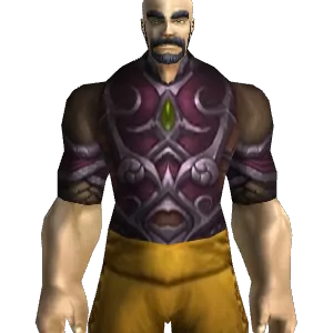 TBC Leather Chest Armor Item Appearances - TBC Classic