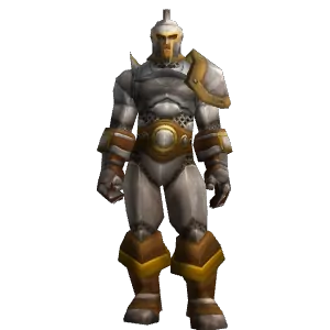 Warrior (TEST) - NPC - TBC Classic