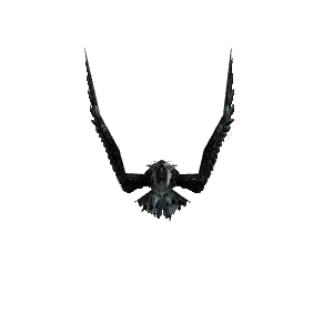 Stormcrow Shape - NPC - TBC Classic