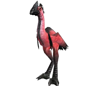 Riding Tallstrider (Pink) - NPC - TBC Classic