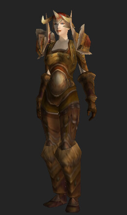 Champion's Dragonhide Armor - Item Appearance Set - TBC Classic