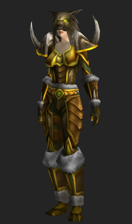 Beaststalker Armor - Item Appearance Set - TBC Classic